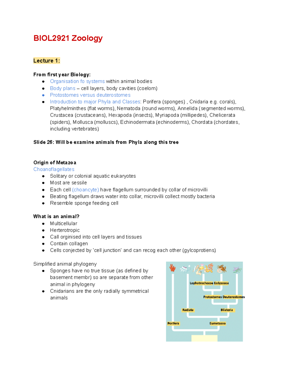 Week 1 lecture 1, lecture notes - BIOL2921 Zoology Lecture 1: From ...
