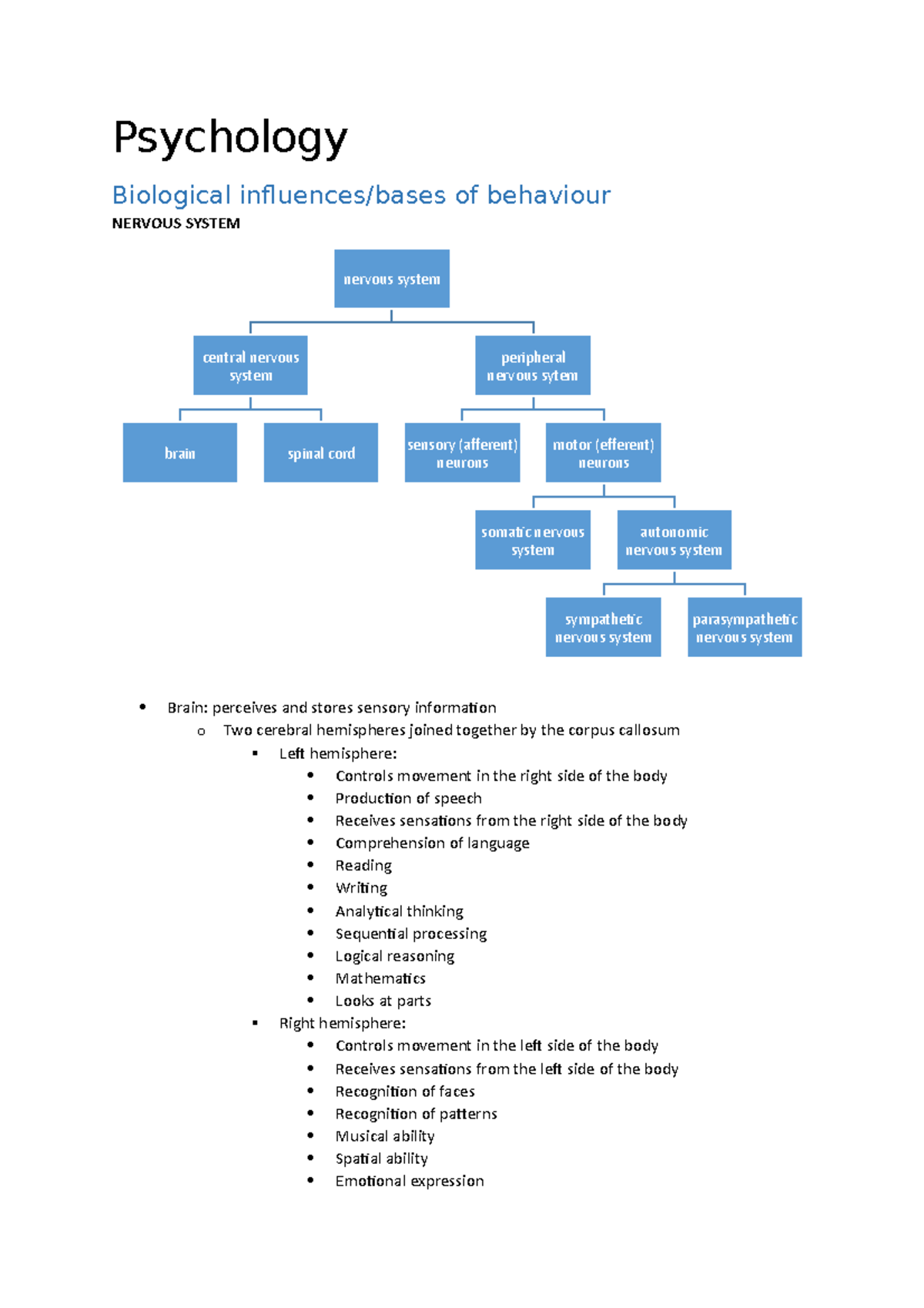 Psychology Notes - Psychology Biological influences/bases of behaviour ...