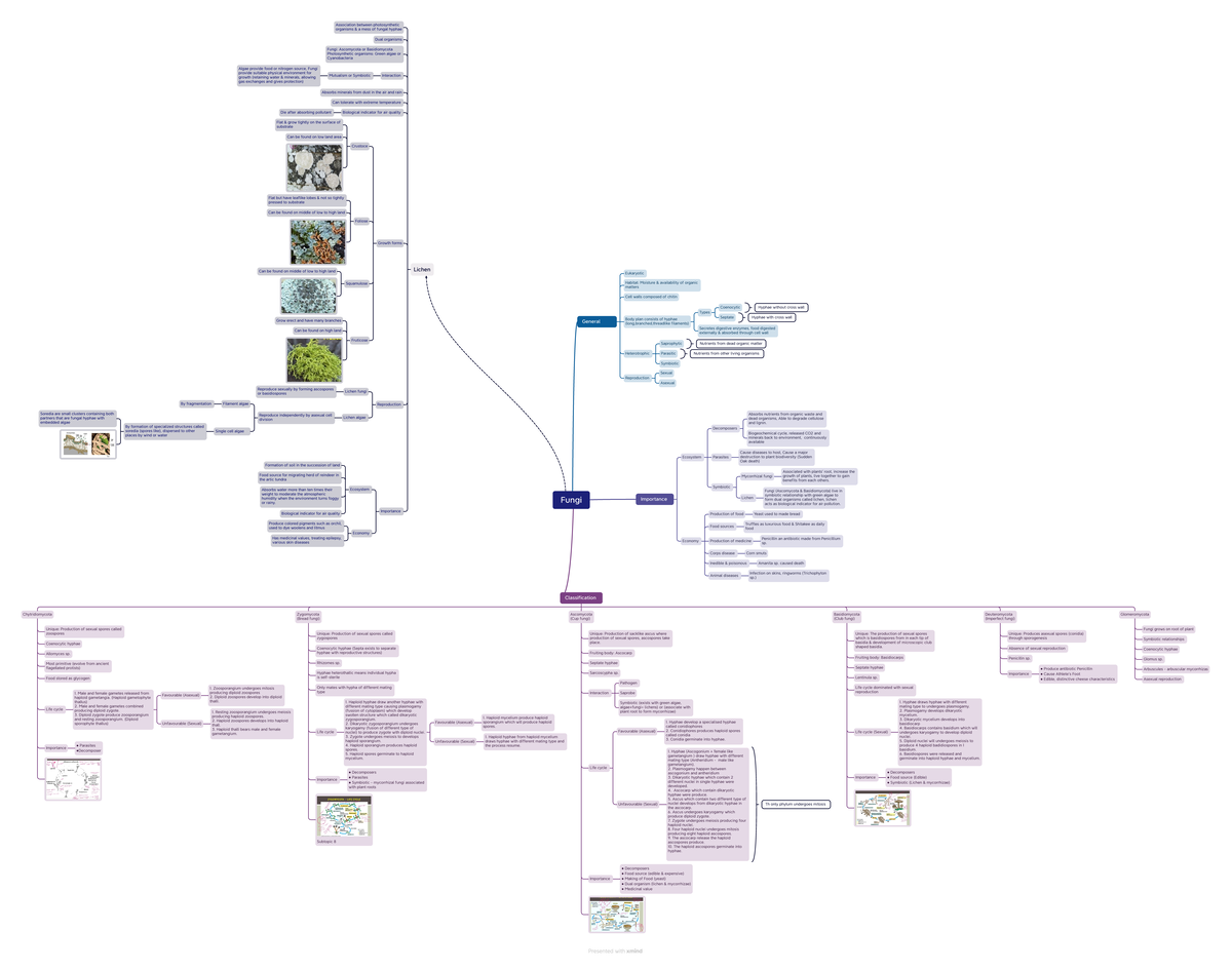 Fungi-230719183947 - mind map on lecture note - Fungi General ...