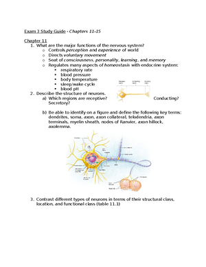 Chapter 4 - Topic: Histology - Chapter 4 - 4. Topic Histology Date ...