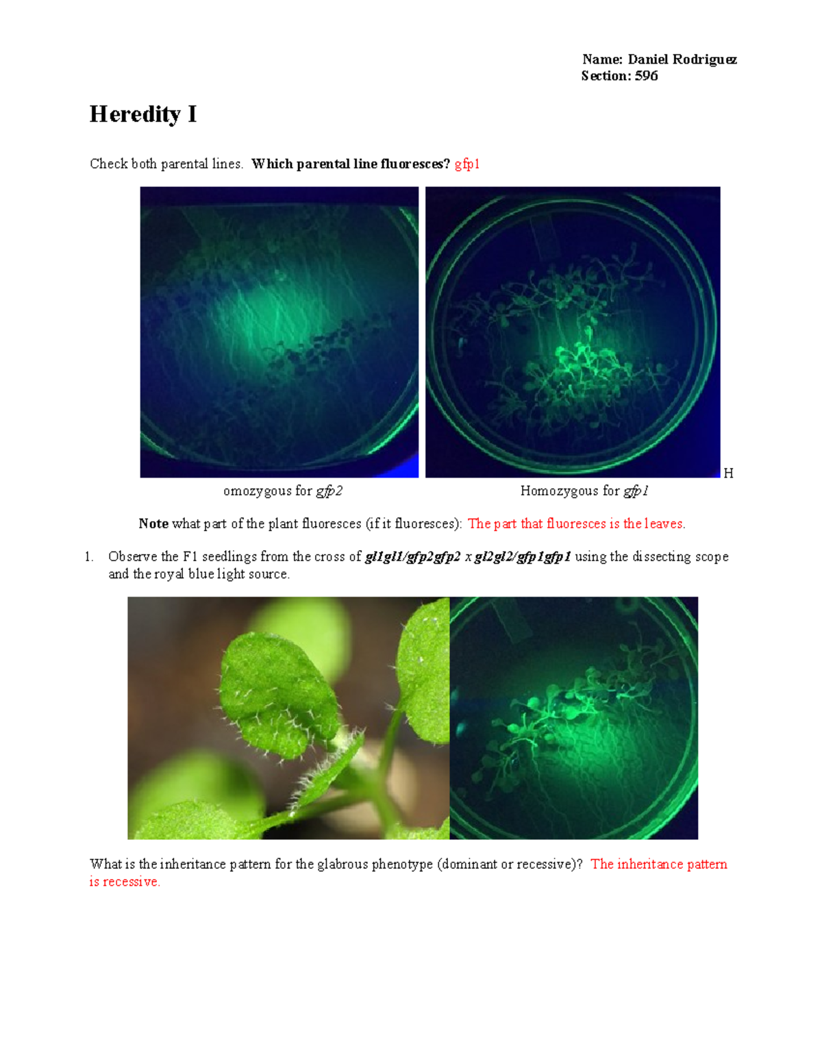 Heredity finished assignment - Section: 596 Heredity I Check both ...
