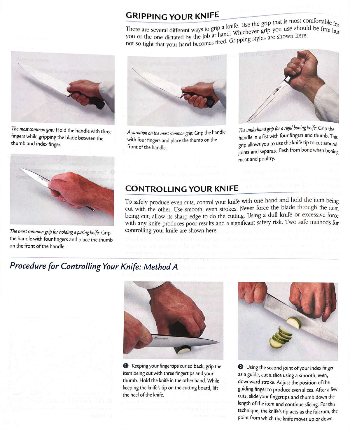 Knife Skills Review 3 - FSS 1203C - Studocu