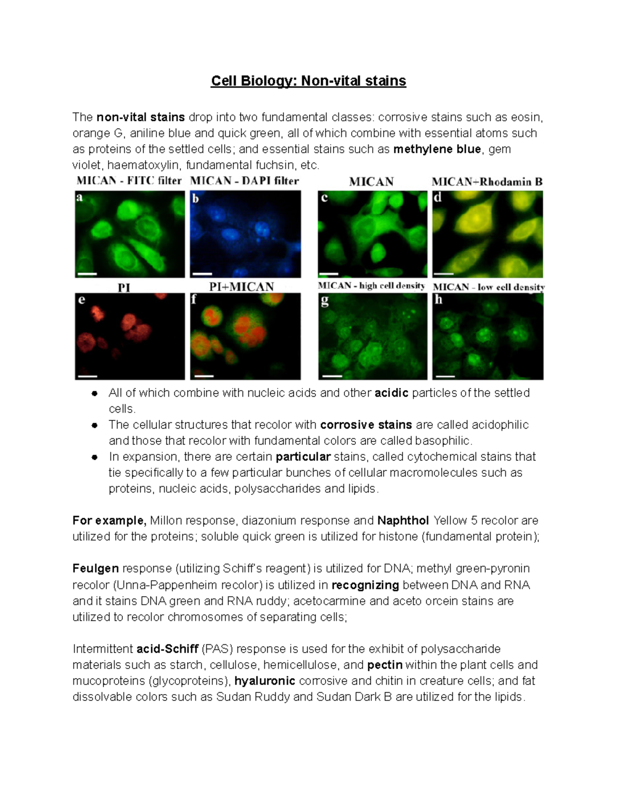 Cell Biology Non-vital stains - All of which combine with nucleic acids ...