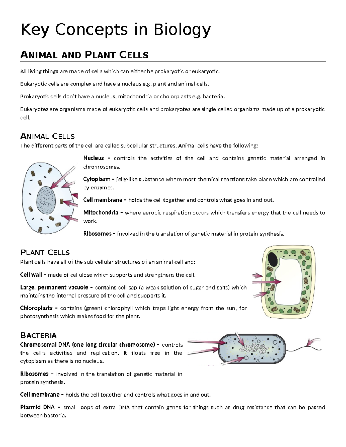 Key Concepts in Biology Pt 1 - Key Concepts in Biology ANIMAL AND PLANT ...