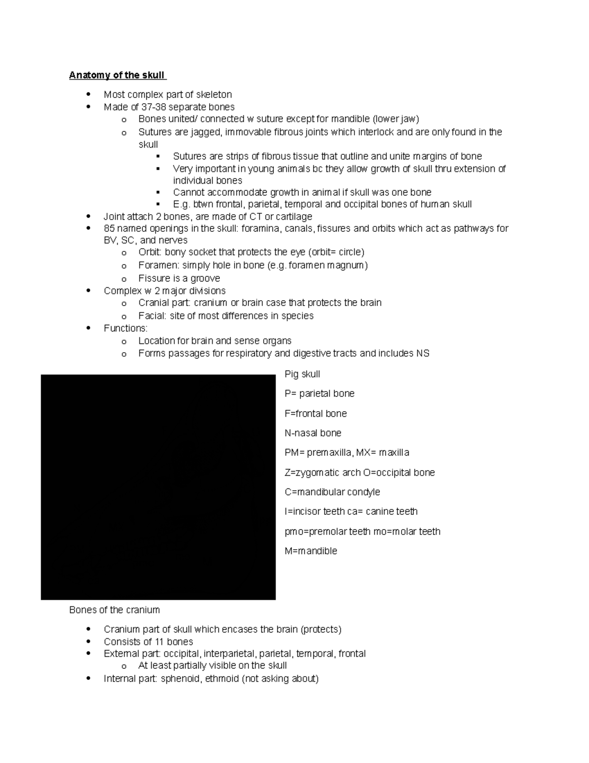 Notes For Anatomy Of Skull Anatomy Of The Skull Most Complex Part Of notes-for-anatomy-of-skull-anatomy-of-the-skull-most-complex-part-of