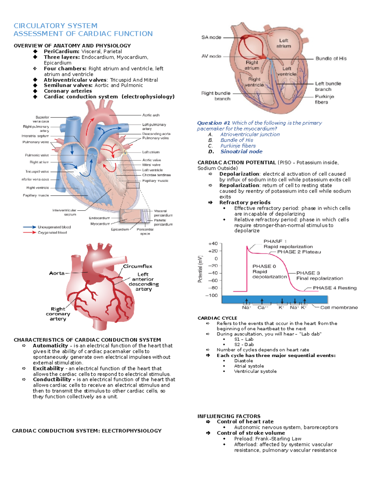 Circulatory System - Reviewers/Notes - CIRCULATORY SYSTEM ASSESSMENT OF ...