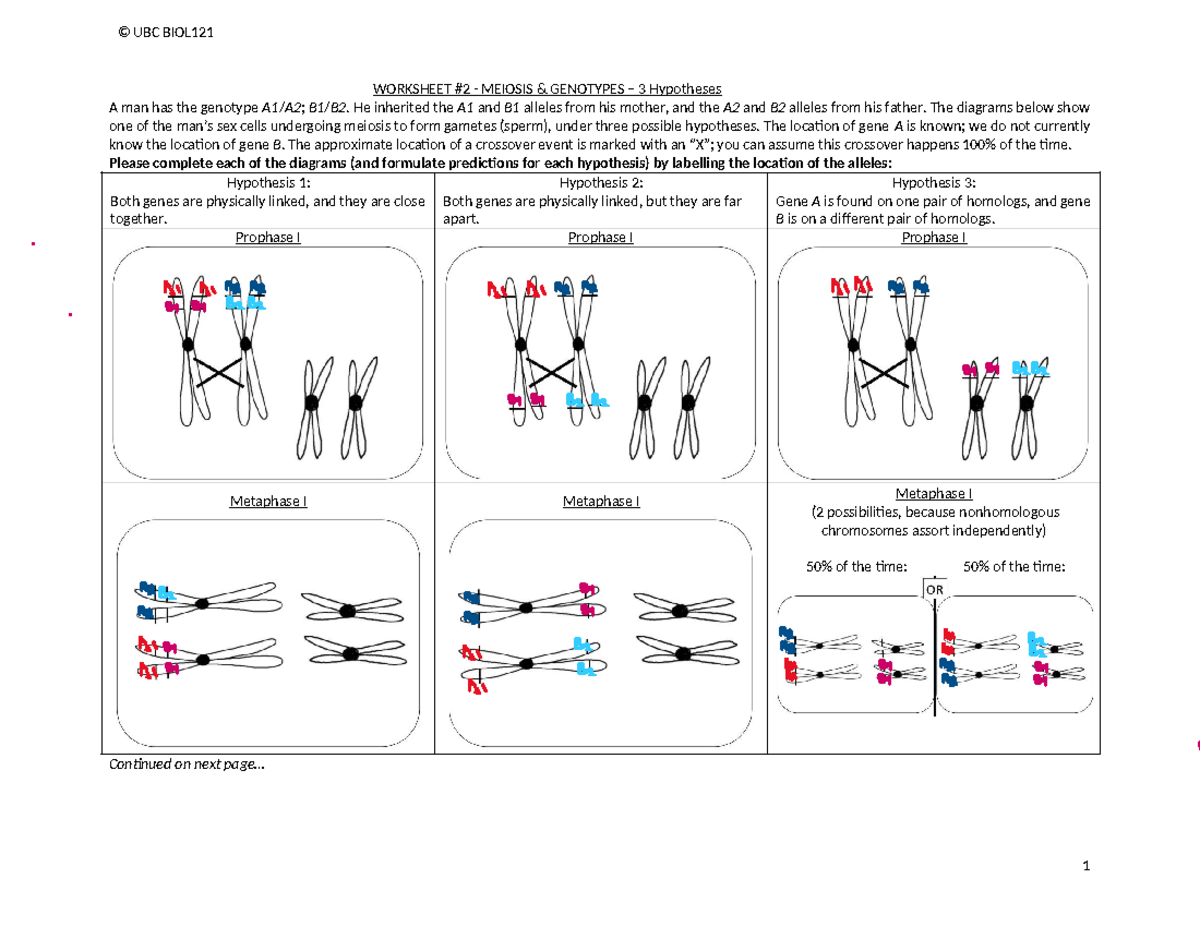 BIOL Worksheet 2 - Biology 200 tutorial 2 - © UBC BIOL 1 WORKSHEET #2 ...