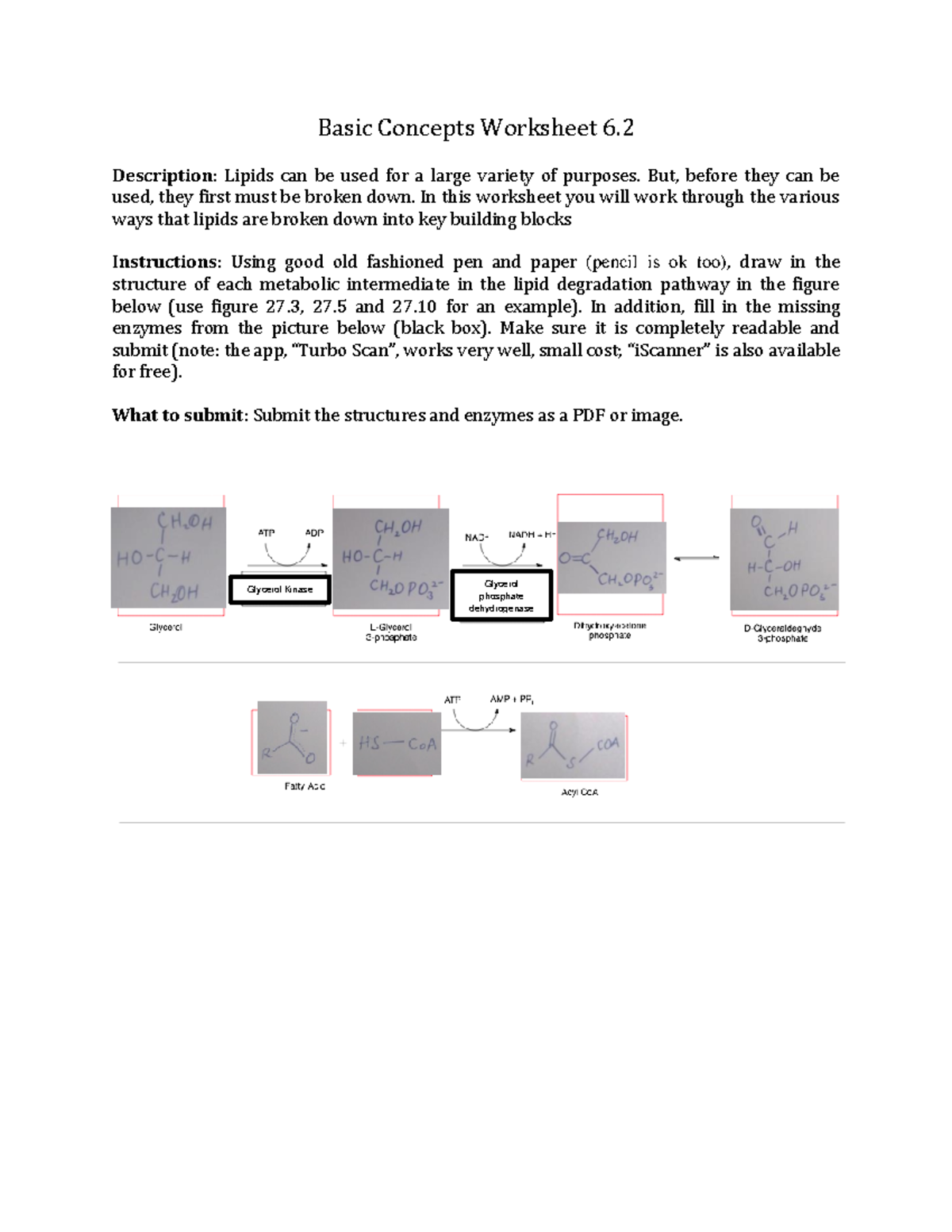 Basic concept worksheet 6 - Basic Concepts Worksheet 6. Description ...