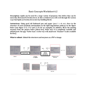 Basic Concept worksheet 3 - Basic Concepts Worksheet 3. Description ...