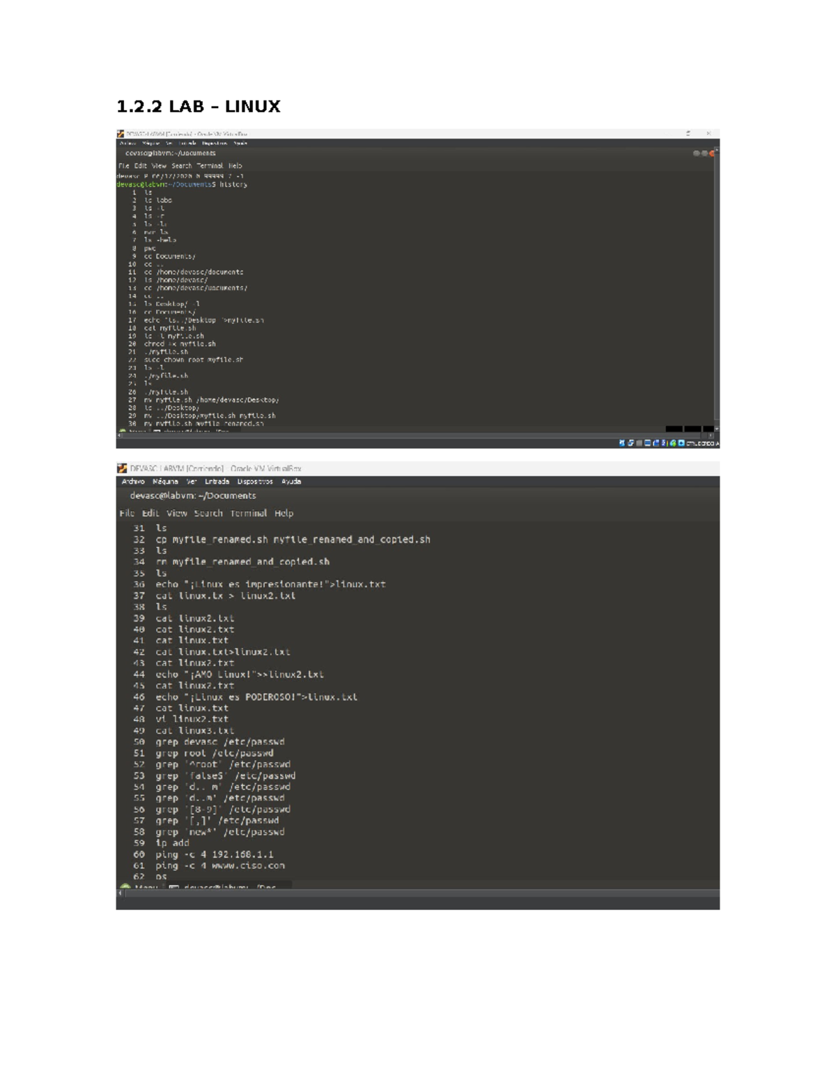 1.2.2 LAB - Linux - 1.2 LAB - LINUX DEVASC-LABVM [Corriendo] Oracle VM VirtualBox Archivo ...
