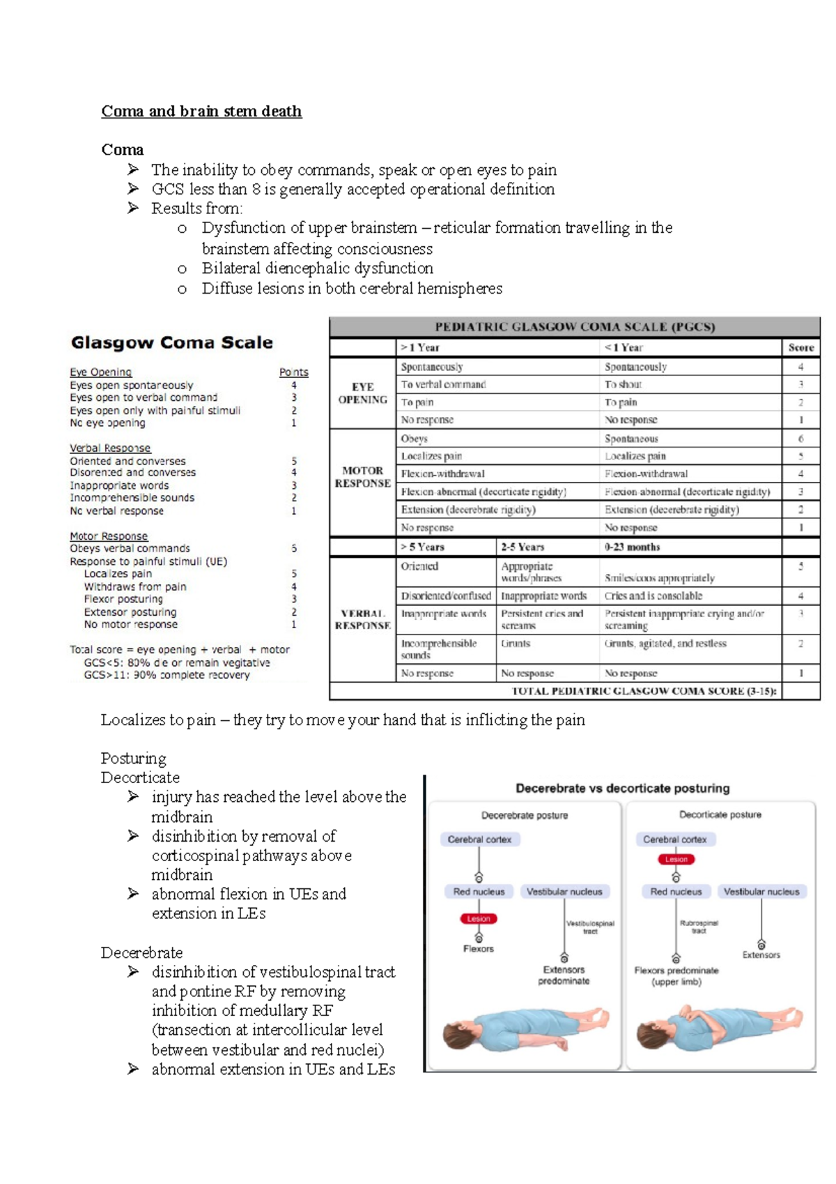 Coma and brain stem death - Coma and brain stem death Coma The ...