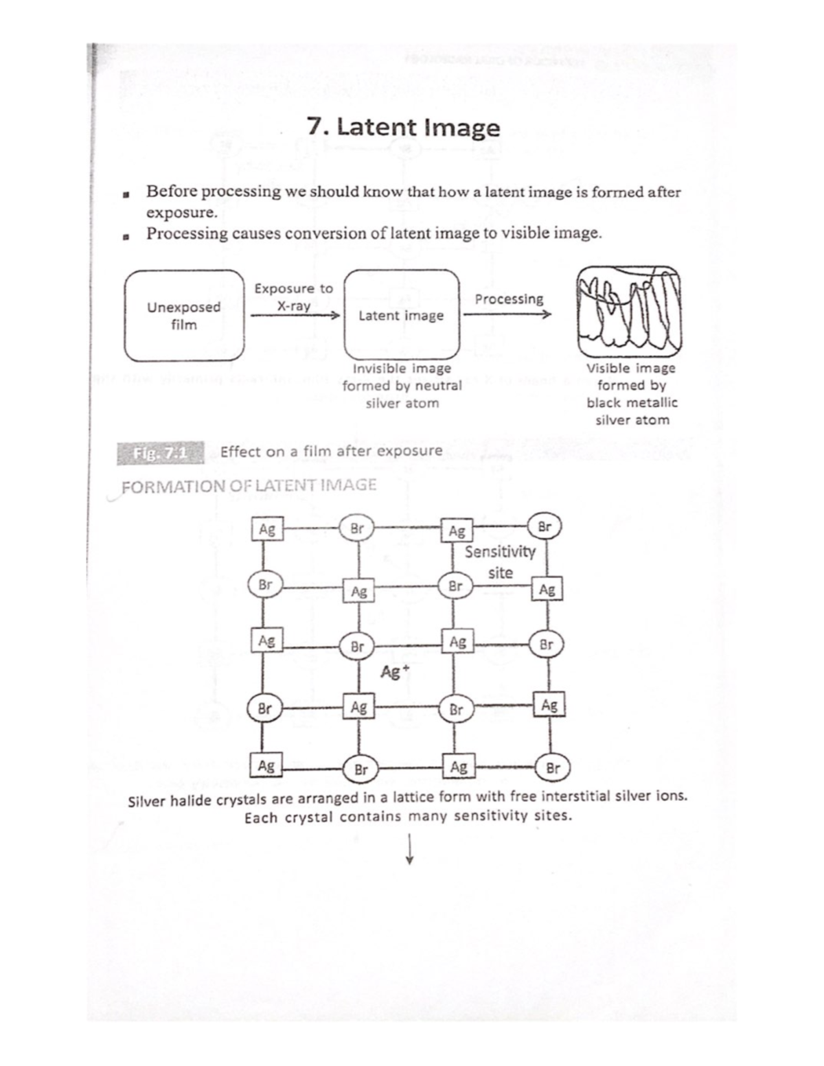 7. Latent Image - It is the short notes of radiology. - BDS - Studocu
