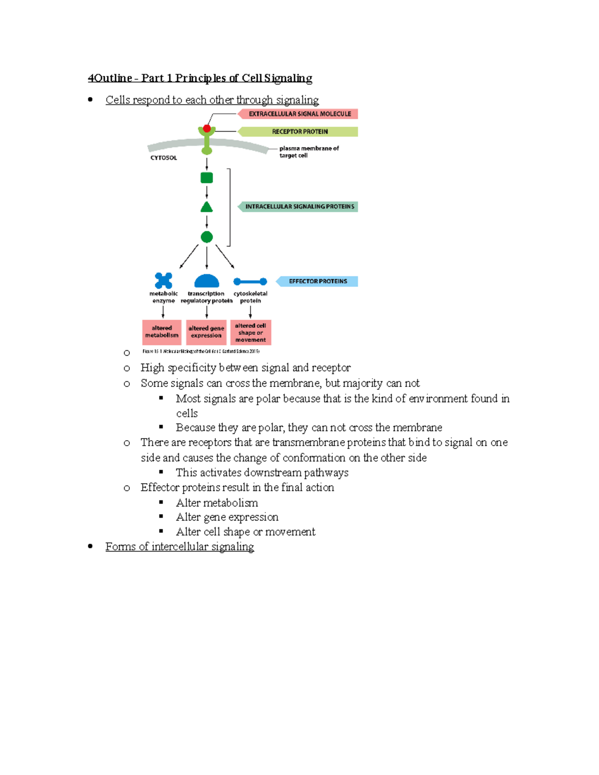 Chapter 15 - Dr.Siebler - 4Outline - Part 1 Principles of Cell ...