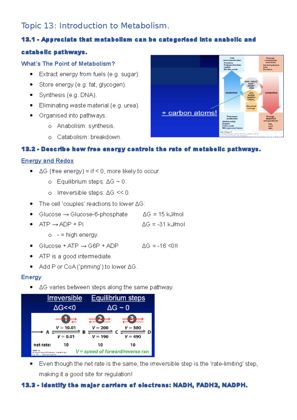 PHAR2811 2nd Half - Topic 13: Introduction to Metabolism. 13 ...