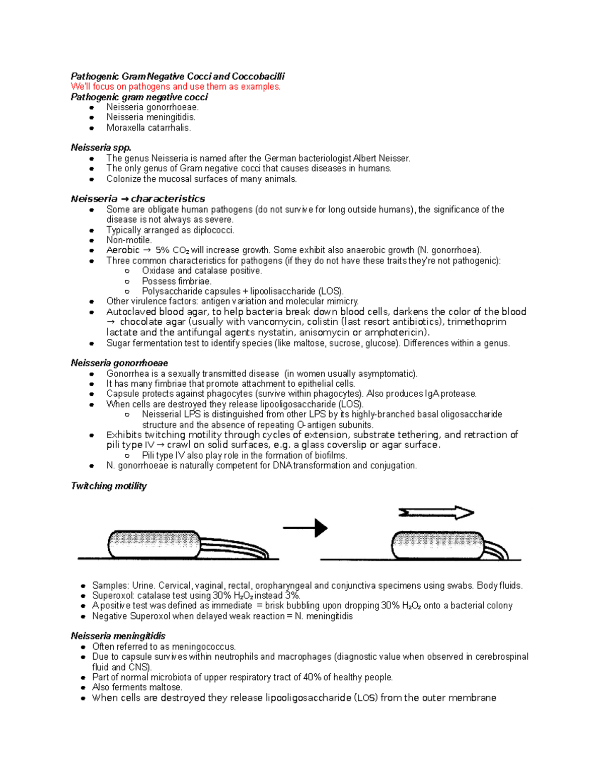 Pathogenic Gram Negative Cocci and Coccobacilli - Pathogenic gram ...