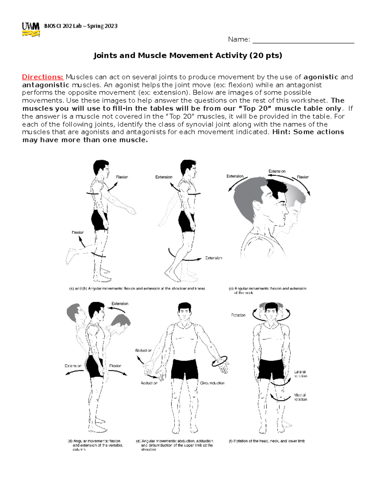 Joints Activity - Spring 2023 - BIOSCI 202 Lab – Spring 2023 Name