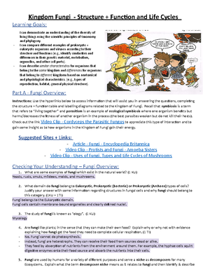 Solubilitytemperaturese key - Solubility and Temperature Answer Key ...
