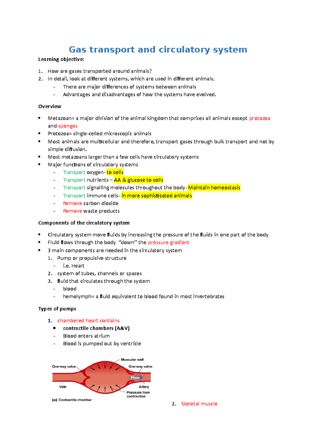 30. Lecture 14 Notes - Gas transport and circulatory system Learning ...