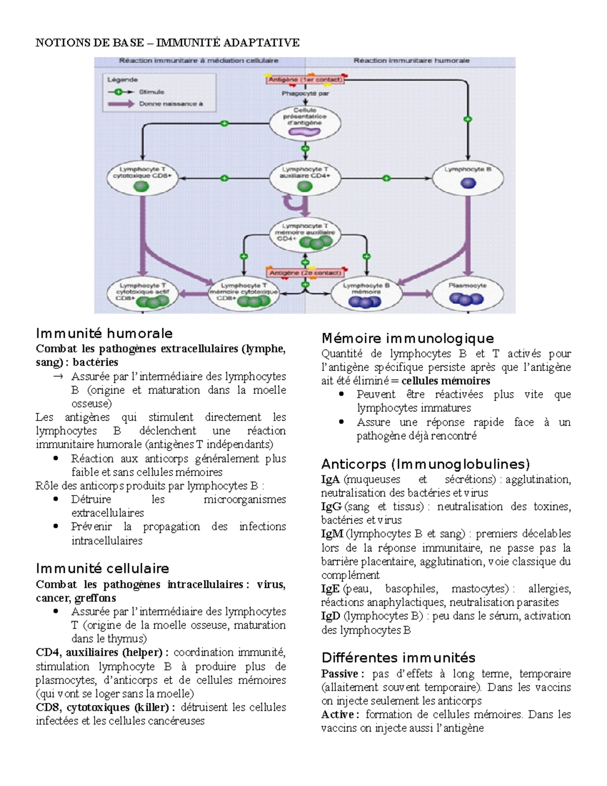 Notions de base immunité adaptative - NOTIONS DE BASE – IMMUNITÉ ...