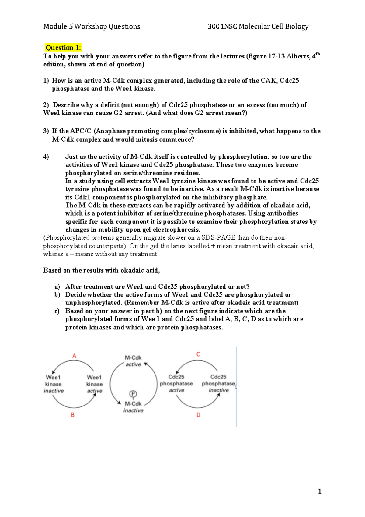 M5 workshop - Question 1: To help you with your answers refer to the figure from the lectures ...