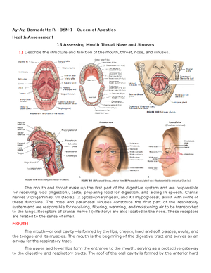Abnormal OB handout - study well - II. NURSING CARE OF THE HIGH RISK ...