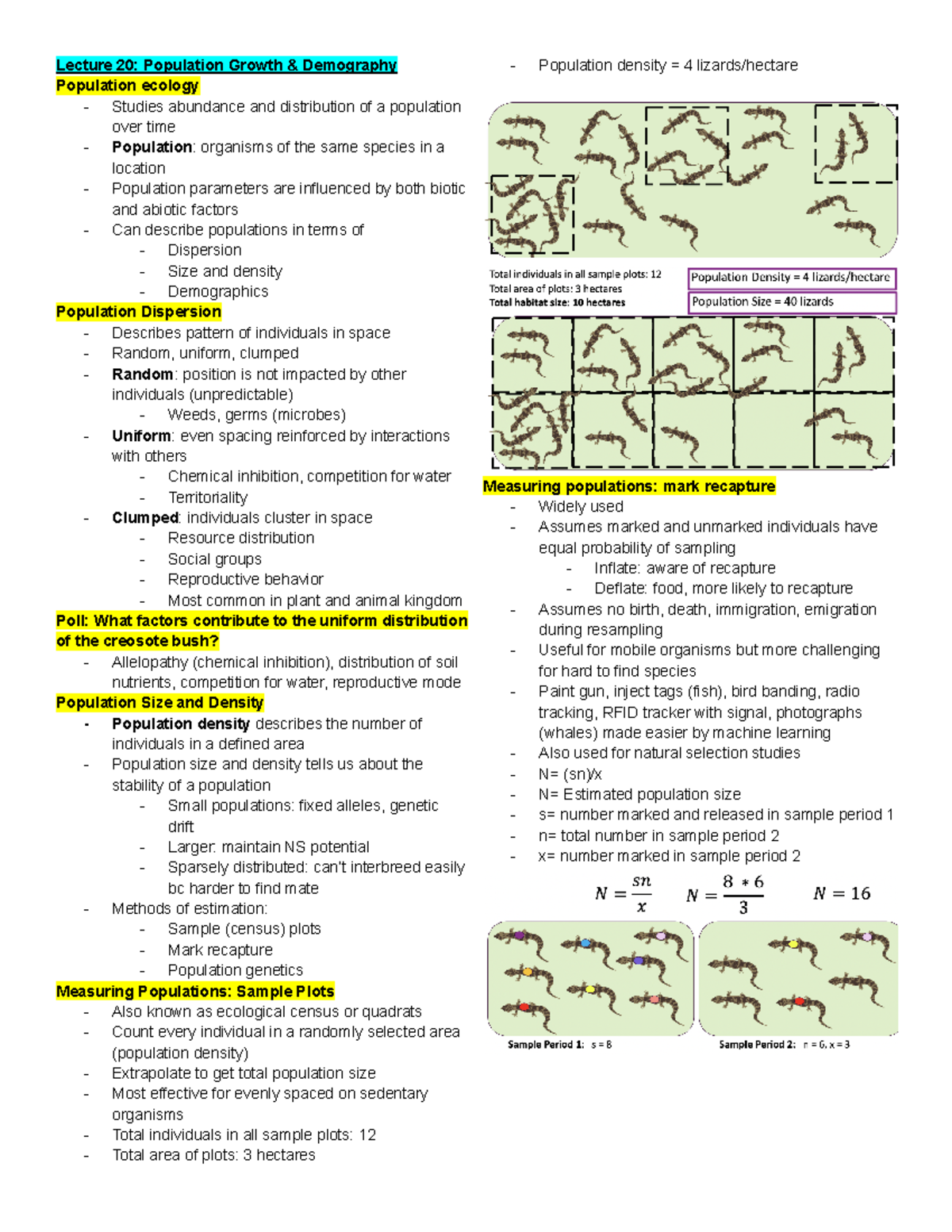 POB II Midterm 3 - Ecology - Lecture 20: Population Growth & Demography ...