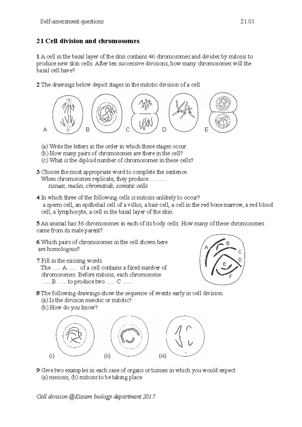 Cell-divsion-questions - 21 Cell division and chromosomes 1 A cell in ...