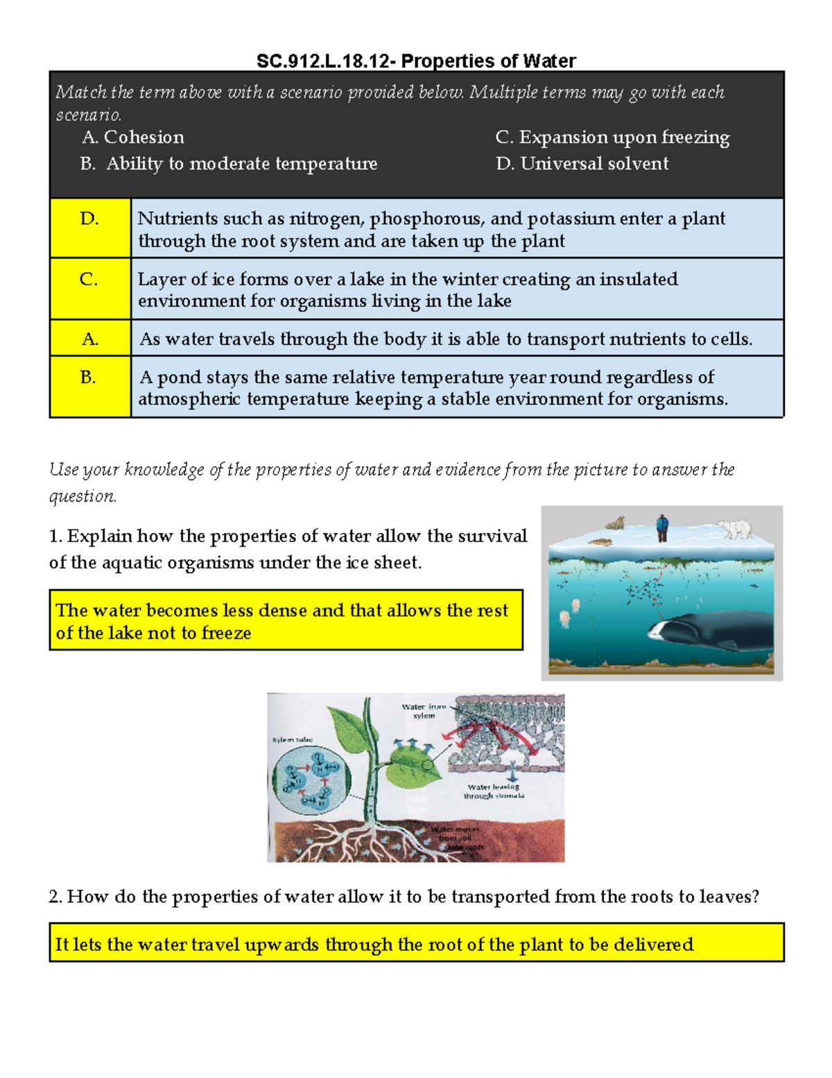 Group 1 Properties of Water - SC.912.L.18- Properties of Water Match ...