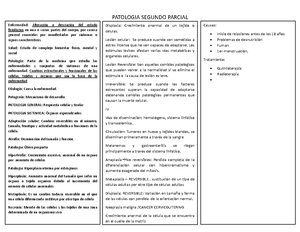 RPBI Tríptico - Material de apoyo - Andrea Aguilar Rodríguez Venice ...