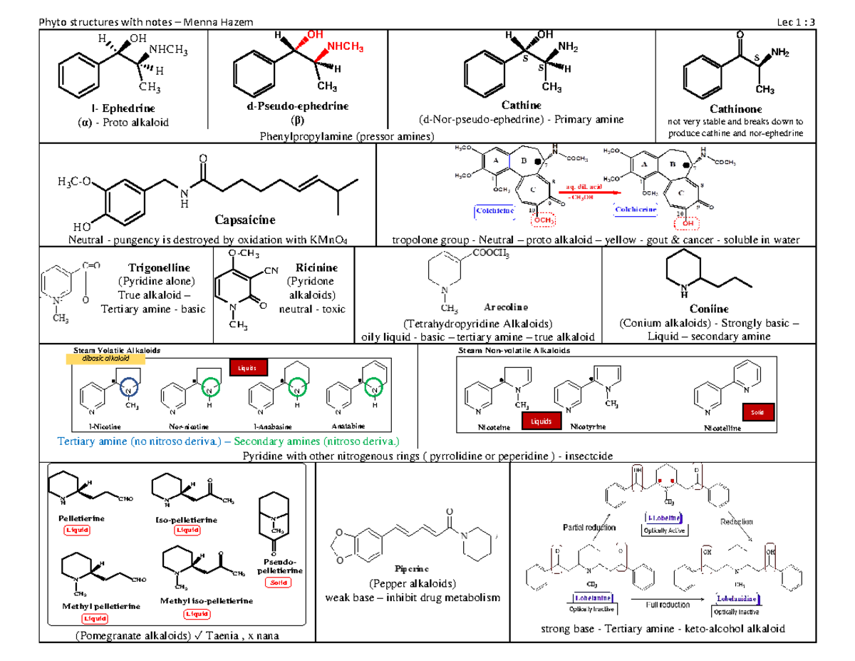 Phyto Structures - Menna Hazem - H OH H NHCH 3 CH 3 l- Ephedrine (α ...