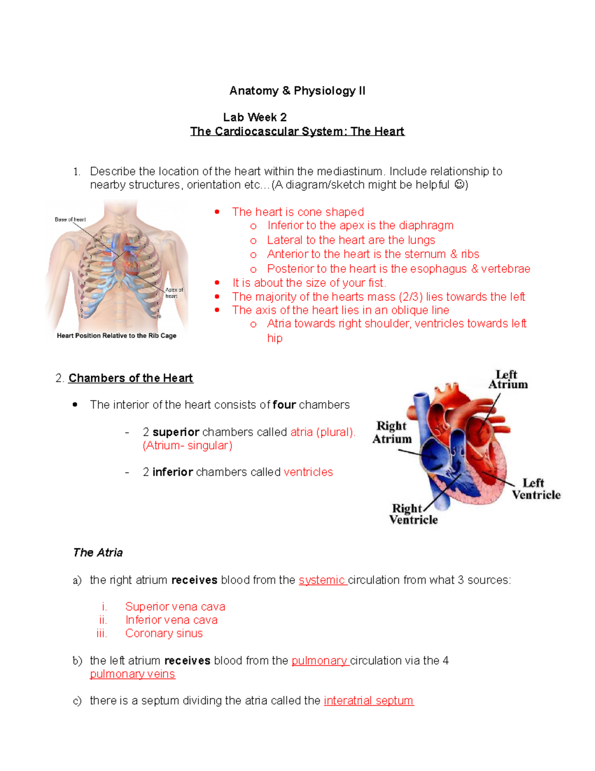 Week 2 Lab- Heart - information and diagram to help with practice study ...