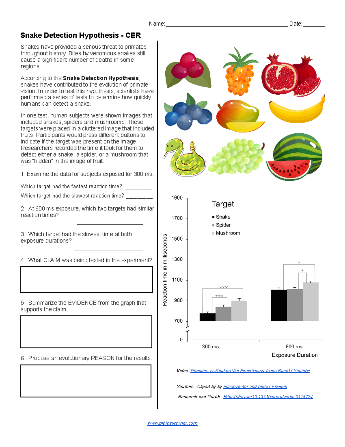 Snake Detection Hypothesis - CER - Name ...