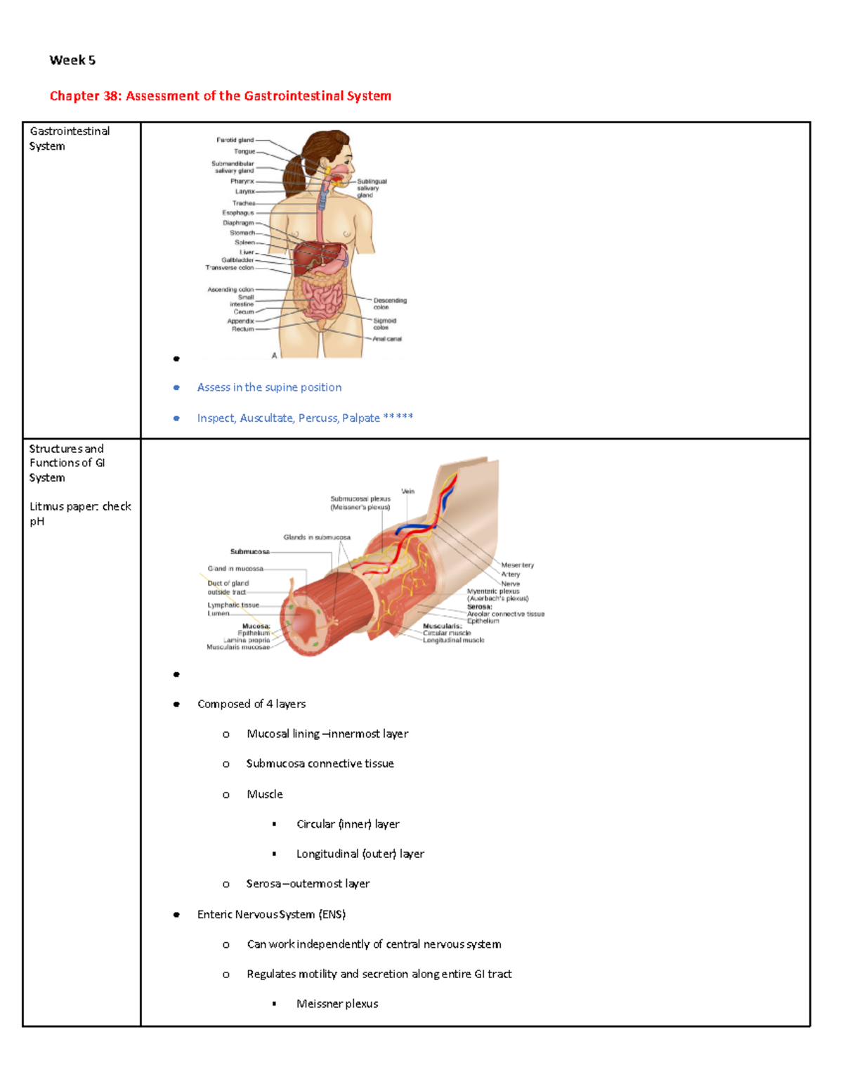 Med Surg Gastrointestinal system indepth notes - Week 5 Chapter 38 ...