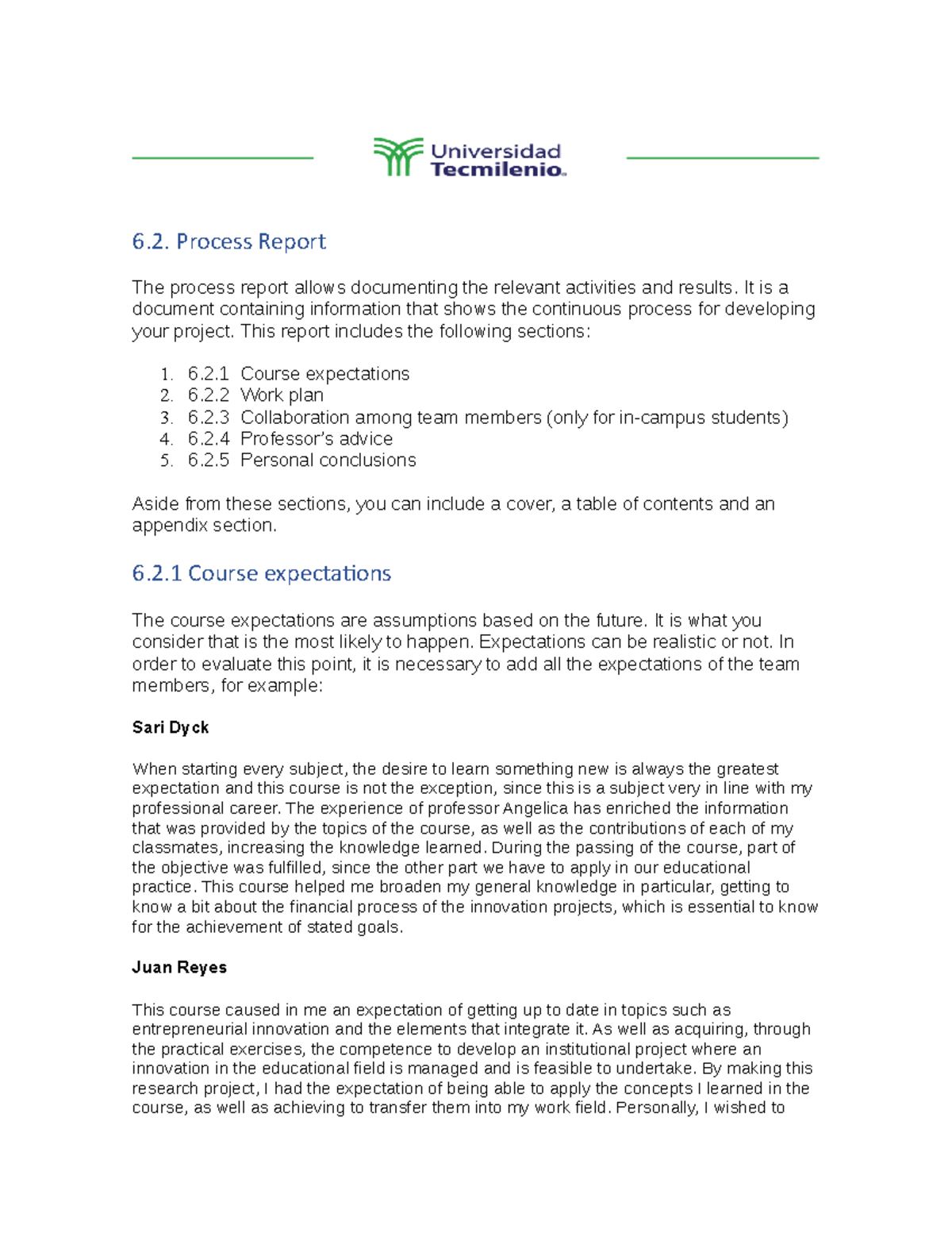 Final Project - Process report - 6. Process Report The process report ...
