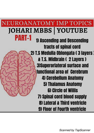 Embryology Notes - EMBRYOLOGY NOTES I. Summary of First Three Weeks a ...