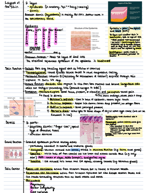 Lab 6 Power Lab 1 - Muscle Structure, Function, & Electromyography (EMG ...