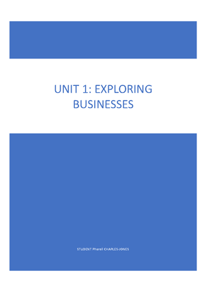 Unit 19 Assignment 1 - Pitching for a New Business - Copy - Level 3 ...