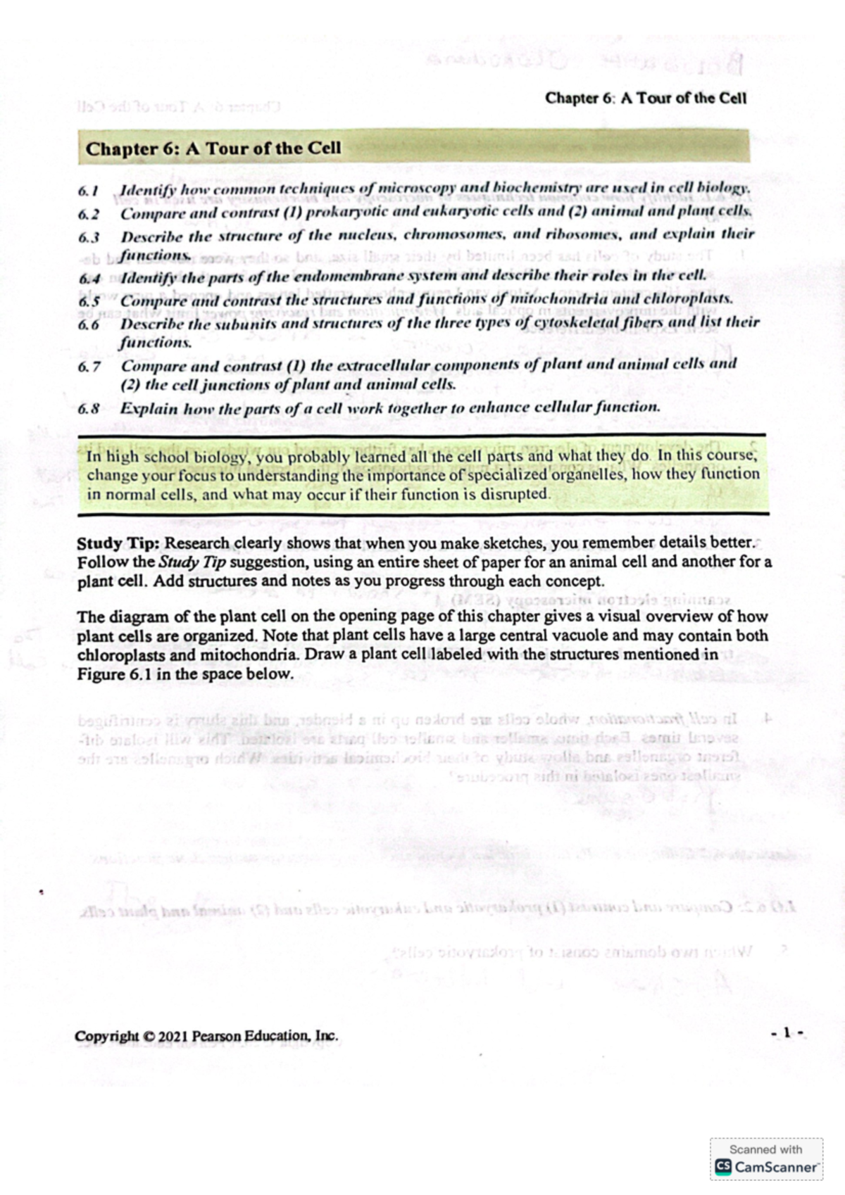 Arg chapter 6 - It is about the Tour of a cell - Chapter 6: A Tour of ...