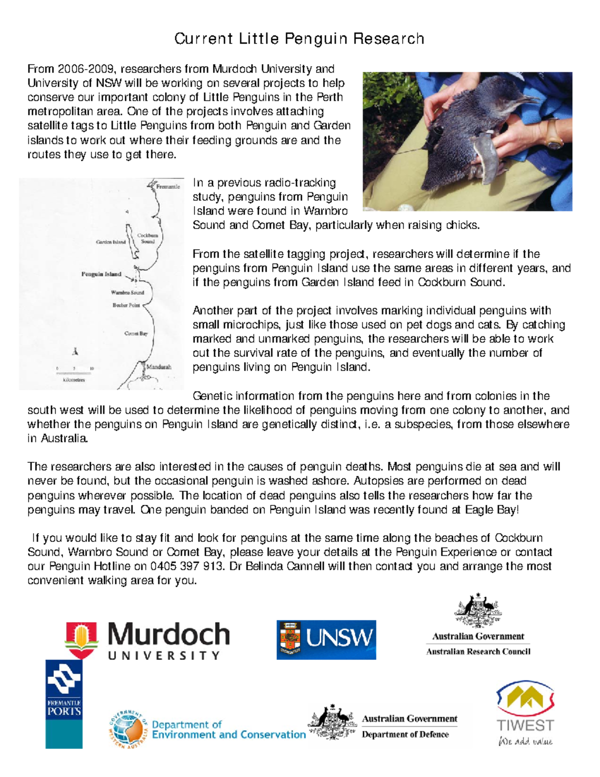 Info for penguin island research - Current Little Penguin Research From ...