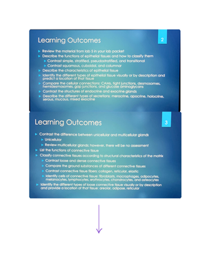 Chapter 7 - The axial skeleton - Chapter 7 The Axial Skeleton Chapter 7 ...