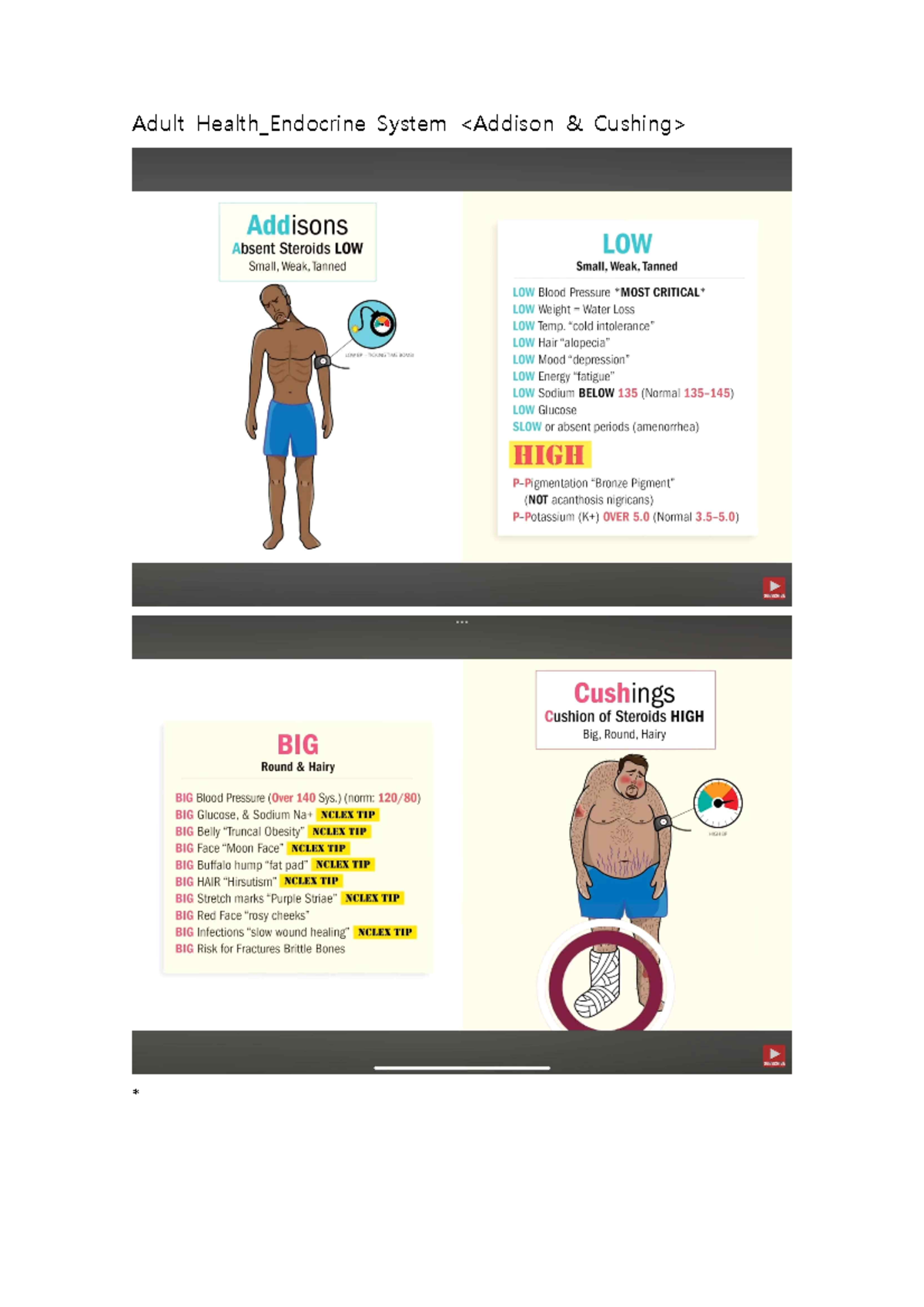 Adult Health Endocrine (Addison, Cushing) simple nursing - Adult Health_Endocrine System