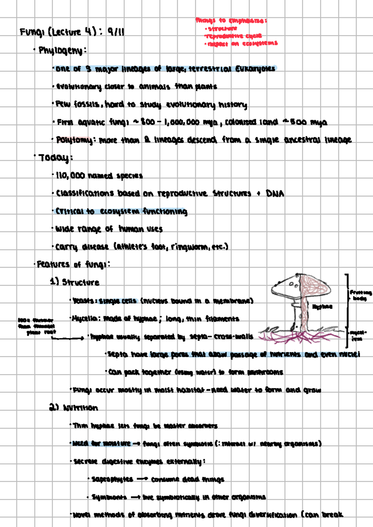 Fungi - from lecture 4 (9/11) :) - contains terminology mentioned ...