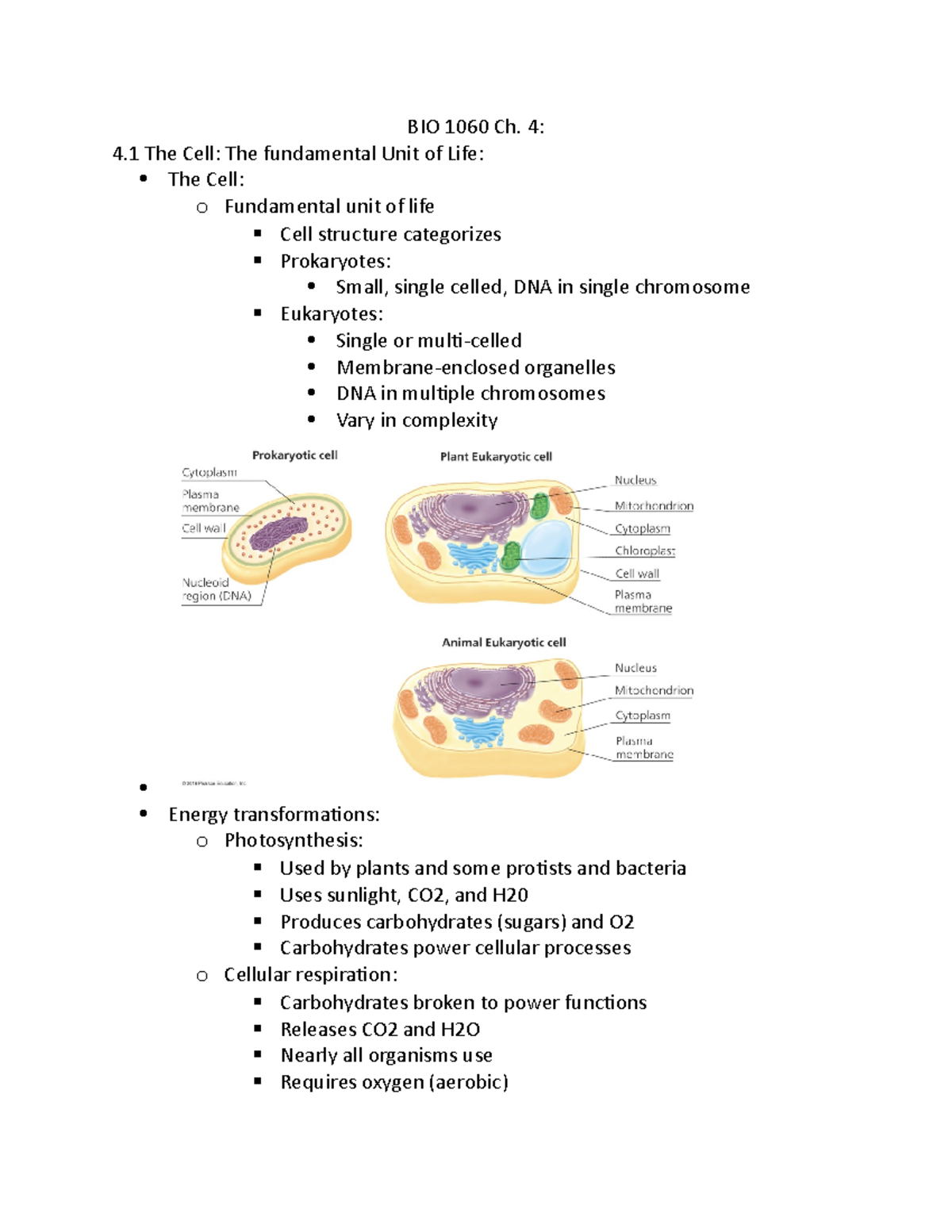 BIO 1060 ch4 - Lecture notes 1 - BIO 1060 Ch. 4: 4 The Cell: The ...