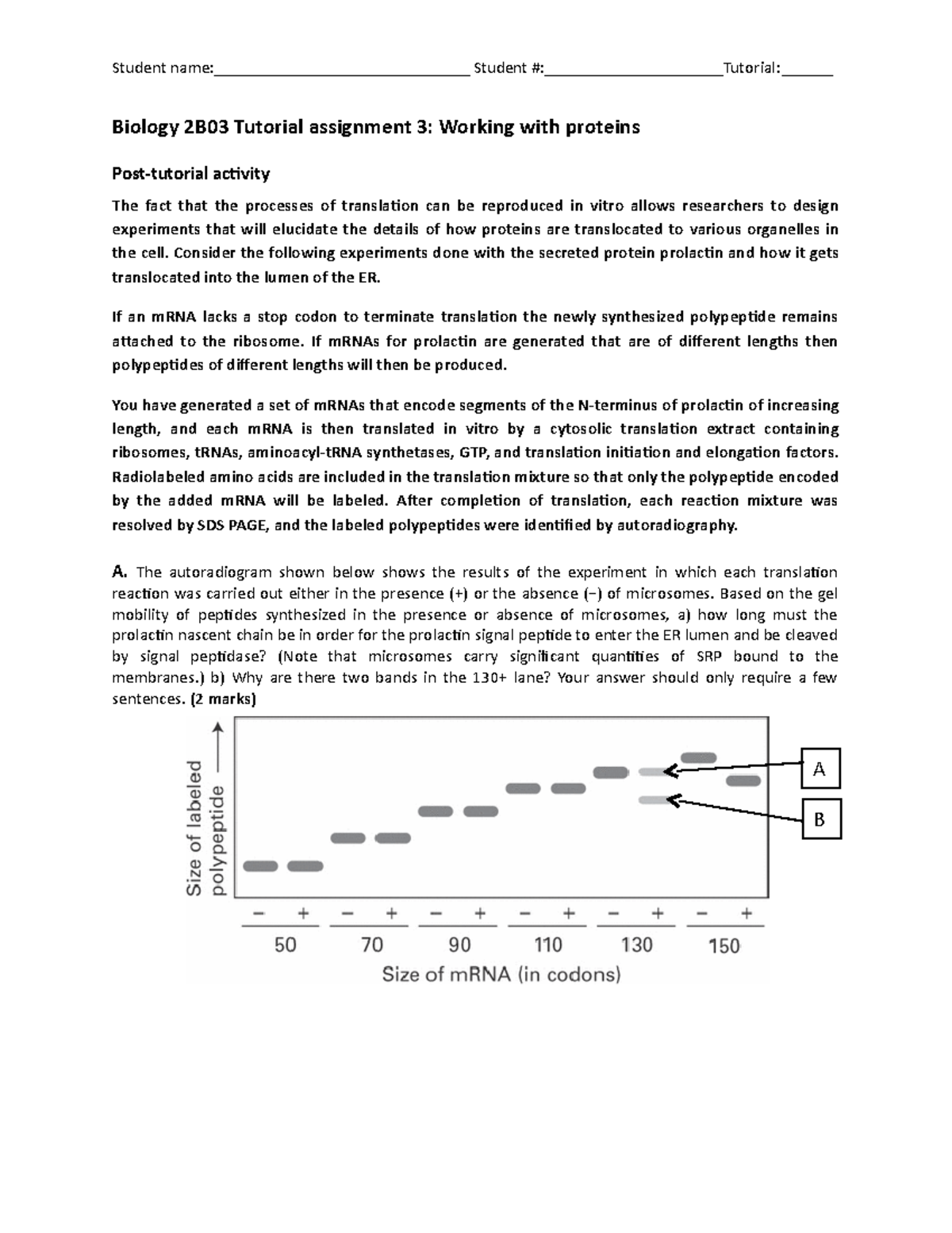 F22 Bio 2B03 Assignment 3 - Working with proteins - Student name