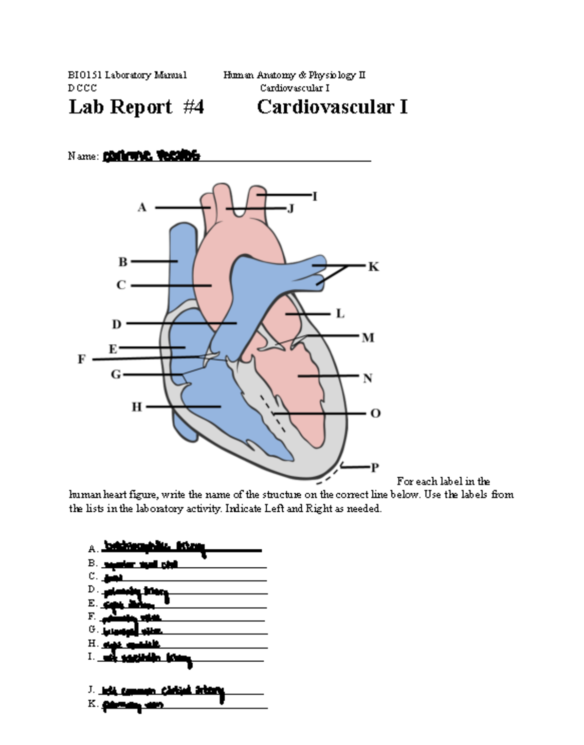 BIO151+Lab+%234+Report - Deprecated API usage: The SVG back-end is no longer maintained and may ...