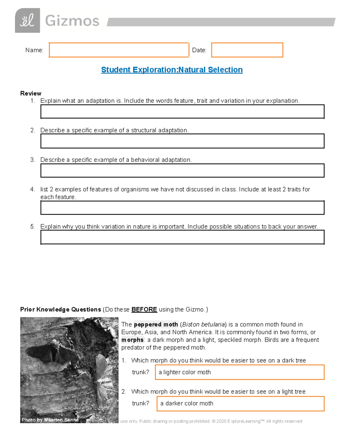 Cohen Forman - Natural Selection Gizmo - Name: Date: Student ...