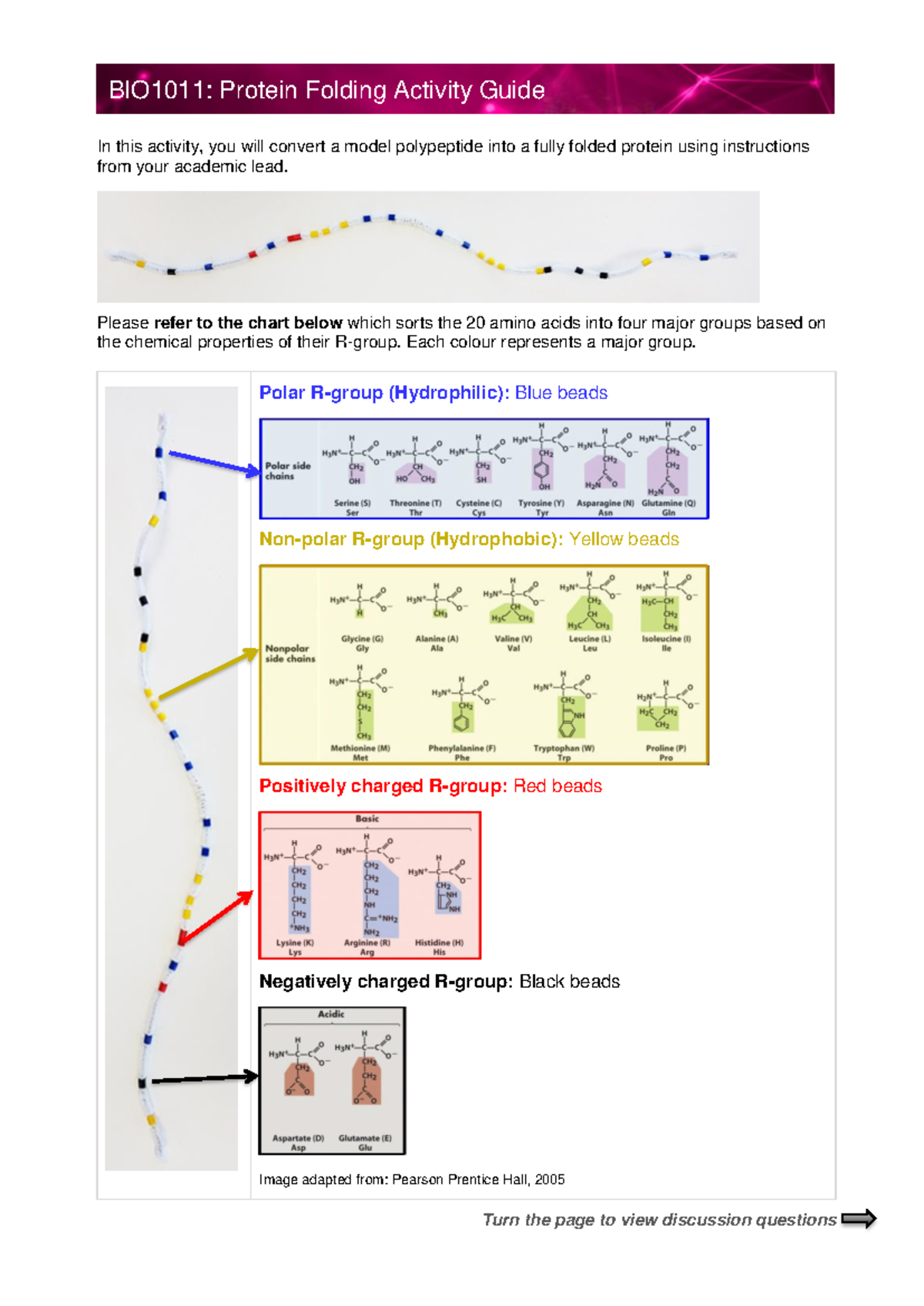 Week 2 Activity 1 Guide Sheet 2024 - BIO101 1 : Protein Folding ...