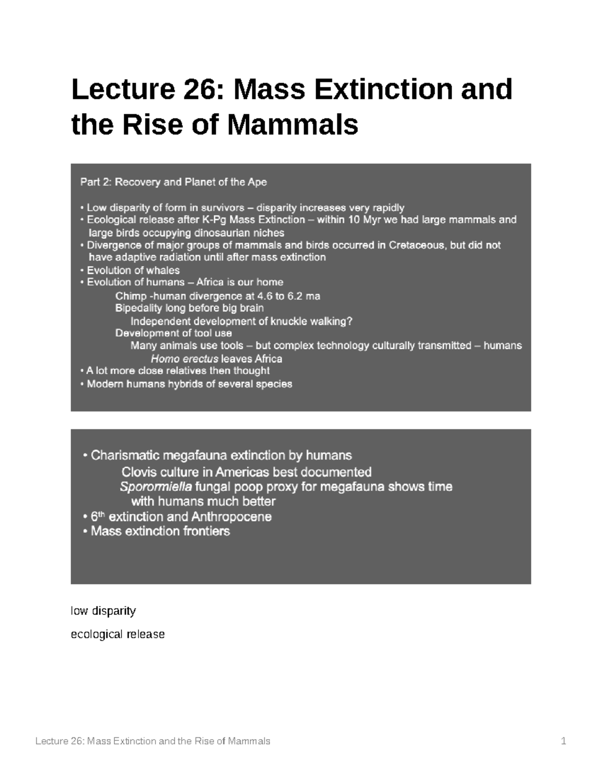 Lecture 26 Mass Extinction and the Rise of Mammals - Studocu