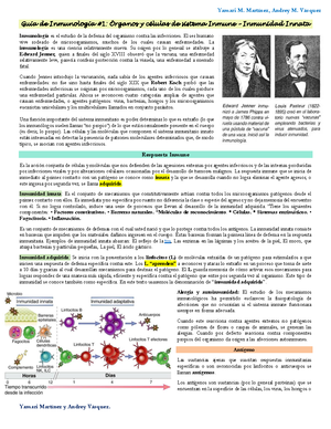 AO Spine Osteoporotic Classification Poster - OF 4 OF 5 AO Spine—DGOU ...
