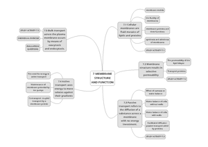 Grade 12 Life Sciences Human Evolution Workbook - GR 12 LIFE SCIENCES ...